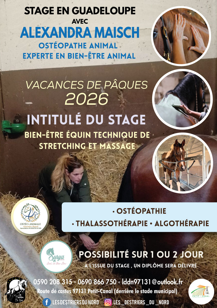 Bien-Etre Equin technique de Stretching et Massage - OT Nord Grande ...